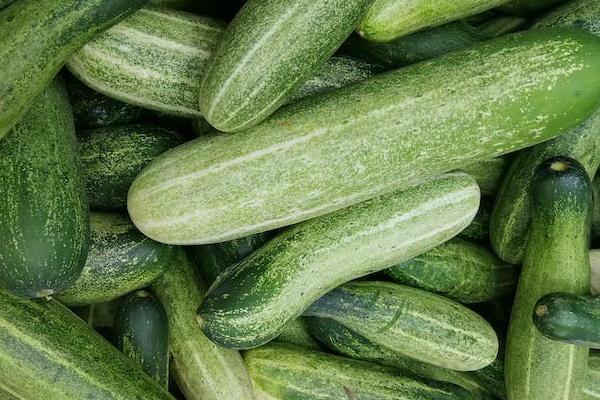 Keto diéta - povolené potraviny (ZOZNAM) + čo nejesť - Fitvyber.sk
